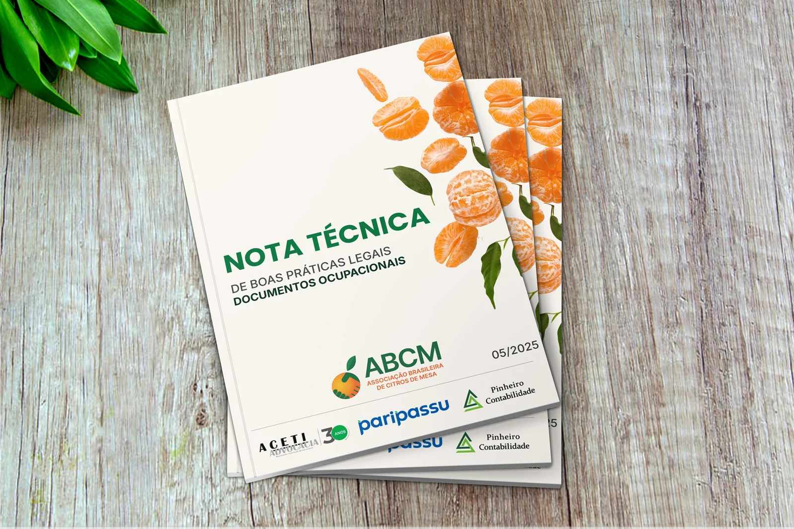 Nova Cartilha ABCM – Boas Práticas Legais: Documentos Ocupacionais ...